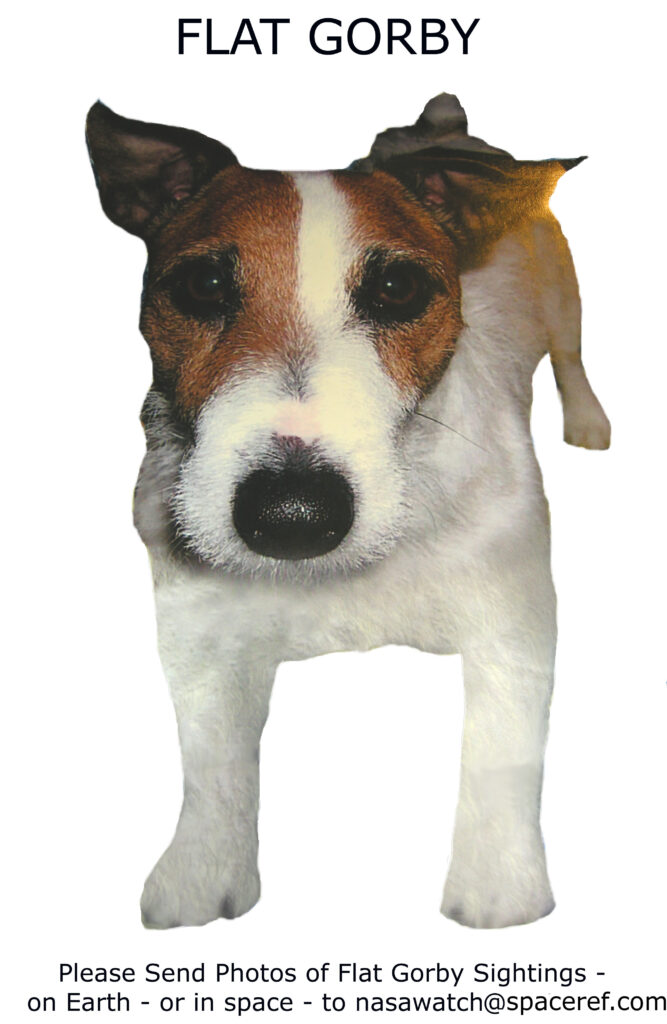 An Interview With the NASA NEEMO 12 Crew and Their Mascot “Flat Gorby ...