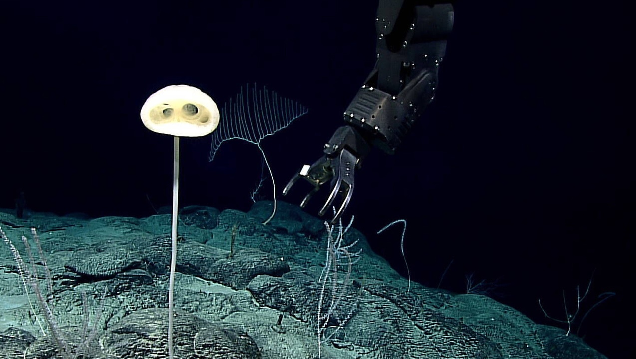 Ignore The Org Charts: Let's Get Back To Actual Exploration - NASA Watch